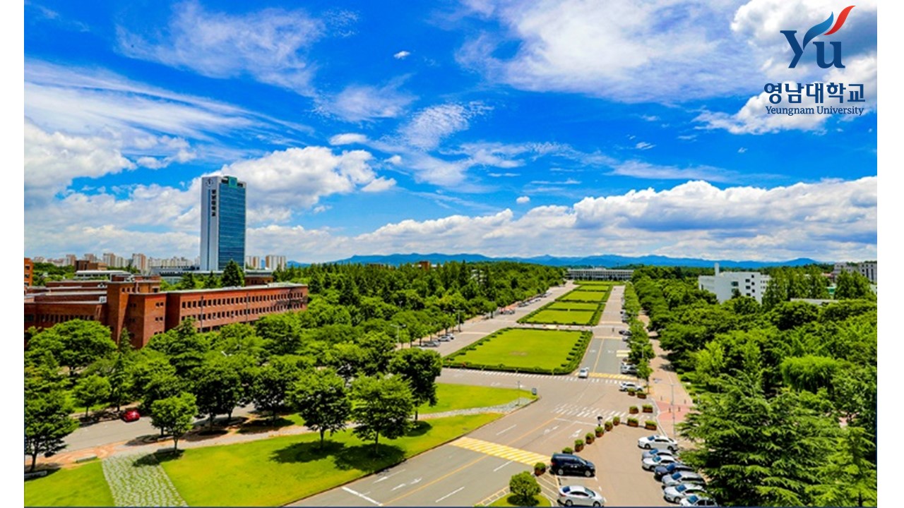 Nano Energy Materials and Processes Laboratory, School of Chemical ...