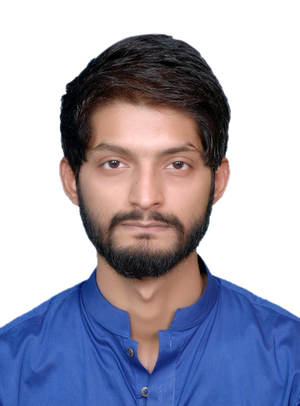 Nano Energy Materials and Processes Laboratory, School of Chemical ...